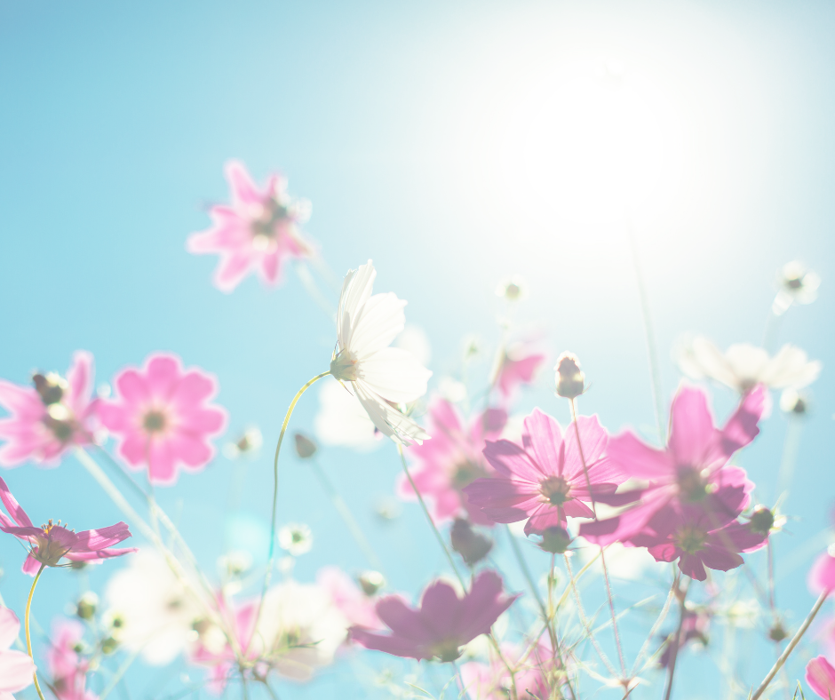 Summer Mud Rasul · Ruthin Castle Hotel and Spa